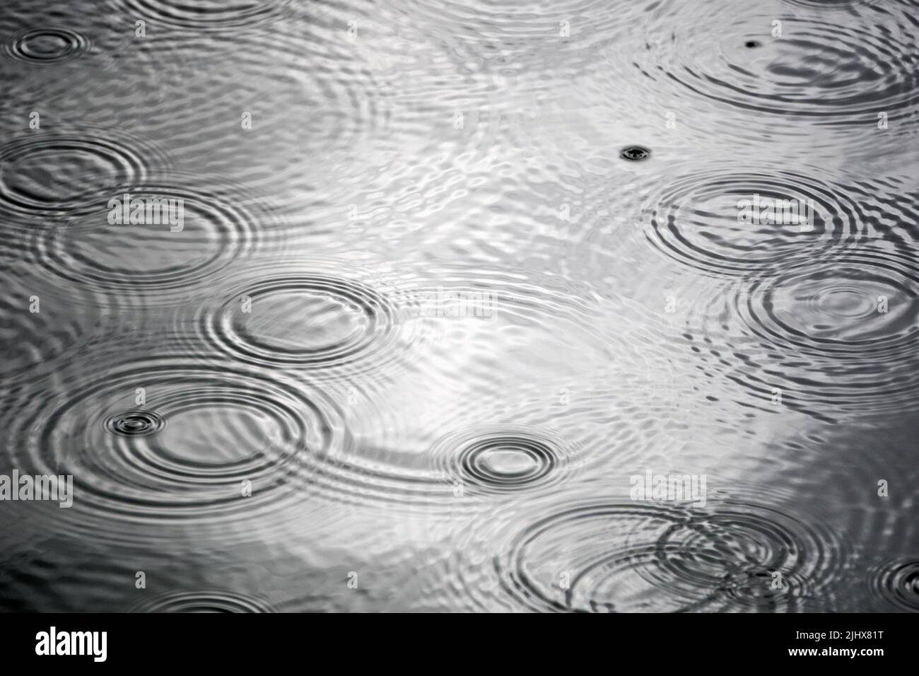 Drops of rain on water surface Stock Photo - Alamy