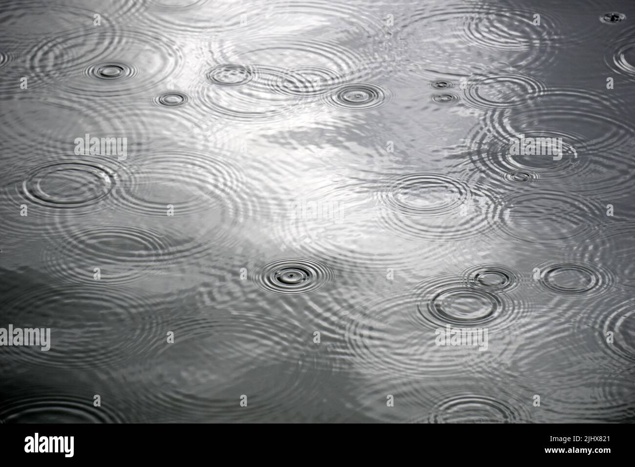 Drops of rain on water surface Stock Photo - Alamy
