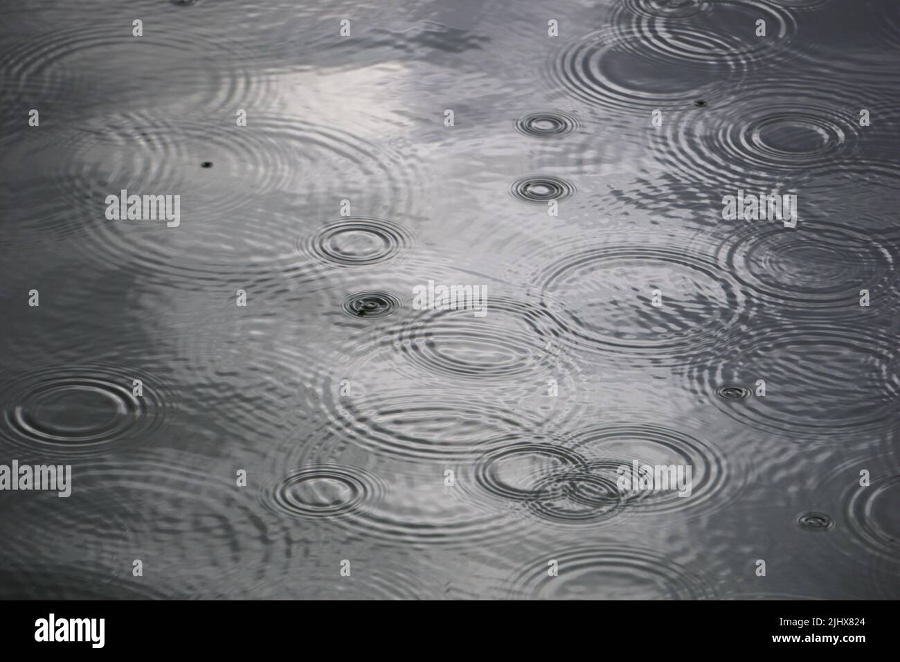 Drops of rain on water surface Stock Photo - Alamy