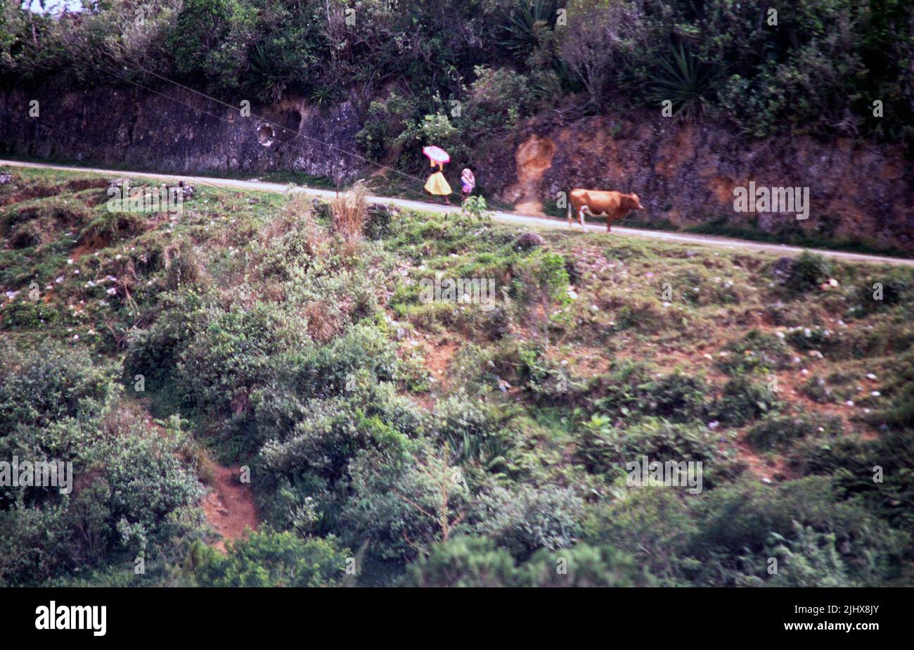 Jamaica inland village hi-res stock photography and images - Alamy
