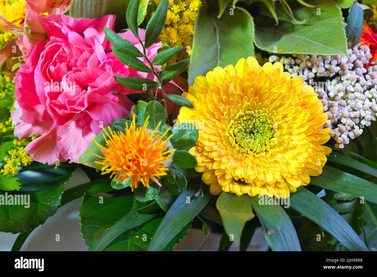 macro shot, closeup on a bouquet of colorful flowers, peony, chinese ...