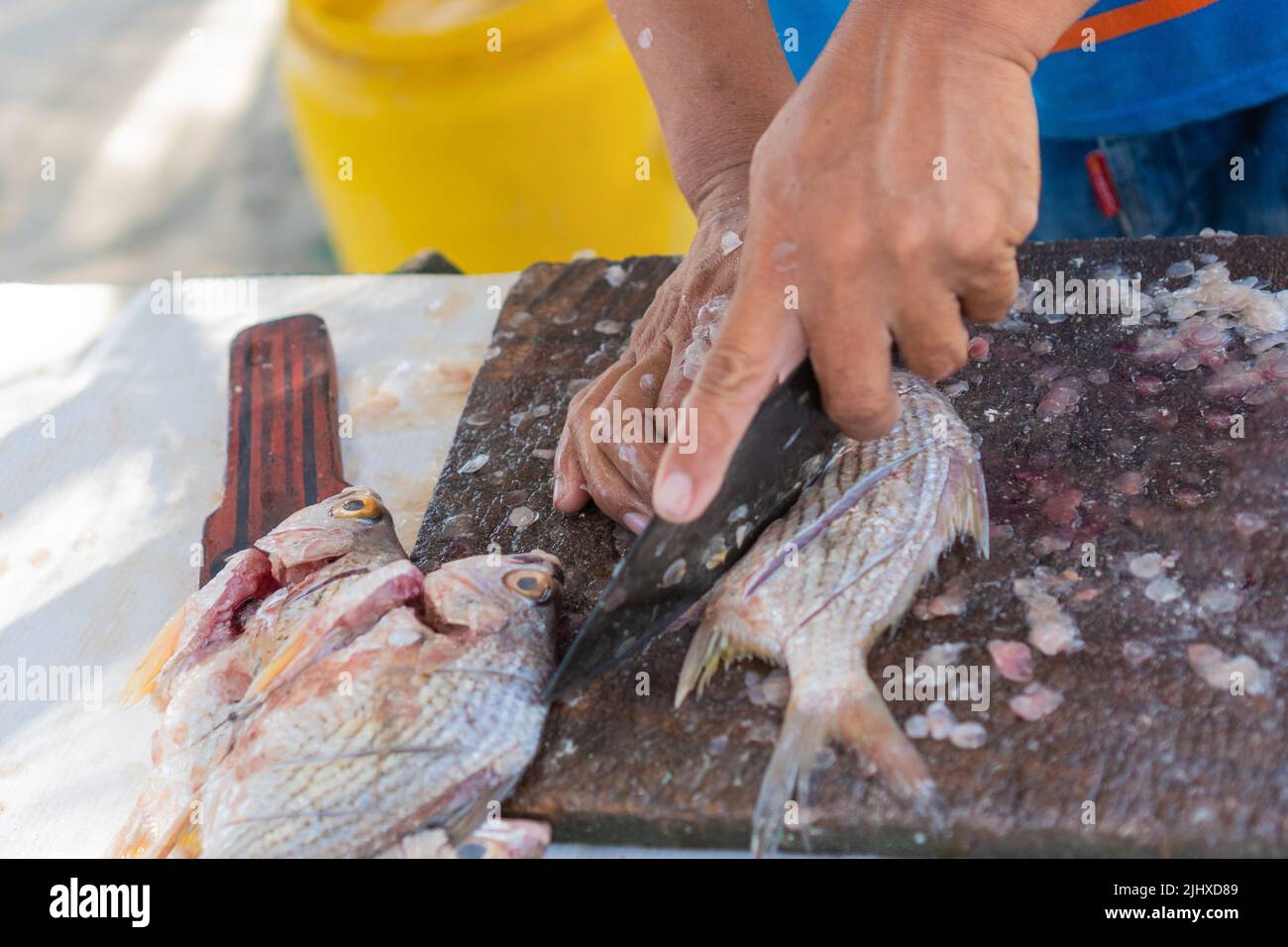 Fisherman's hands cleaning fish at local market Stock Photo - Alamy