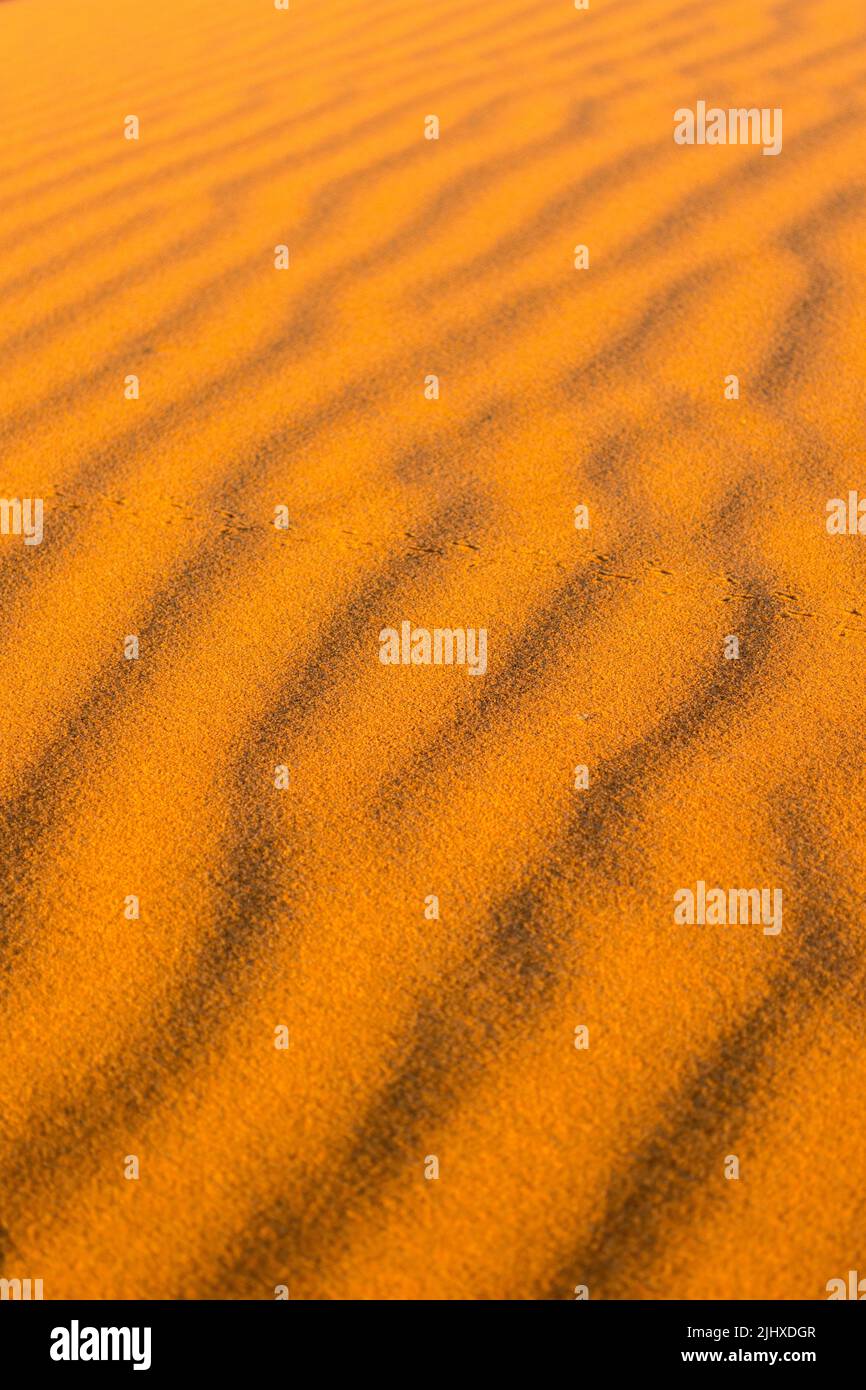 Sahara expedition hi-res stock photography and images - Alamy