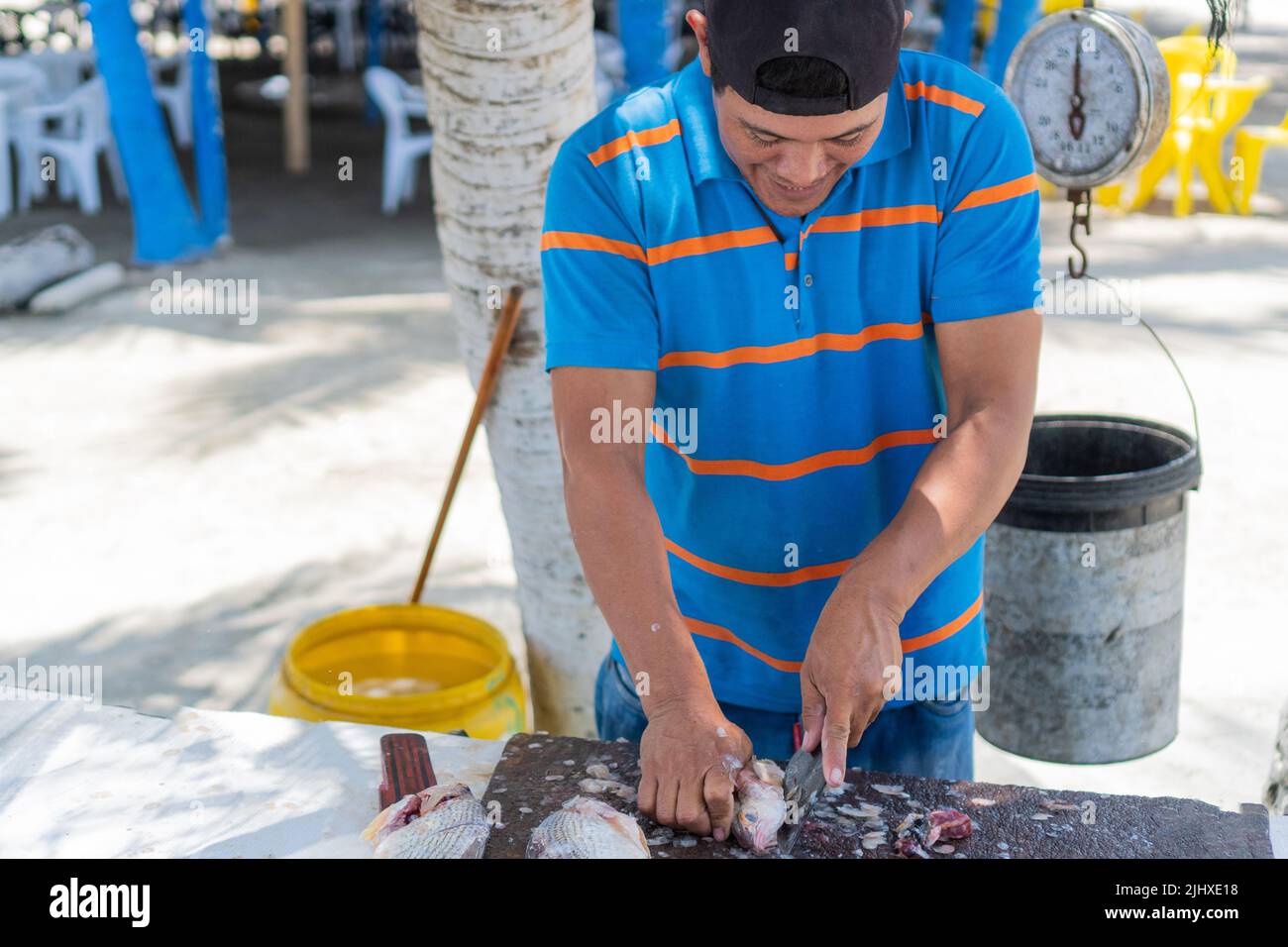 Washing cleaning fish hi-res stock photography and images - Alamy