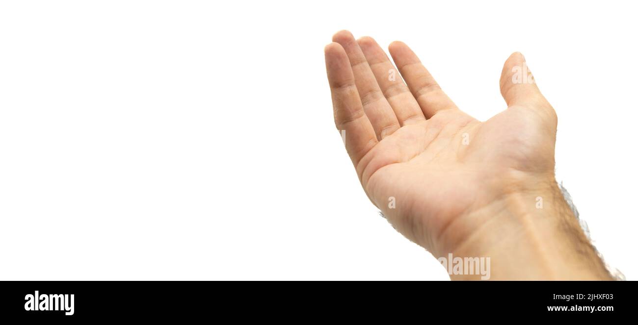 Adult hand reaching up in the air on a white background. Copy space ...