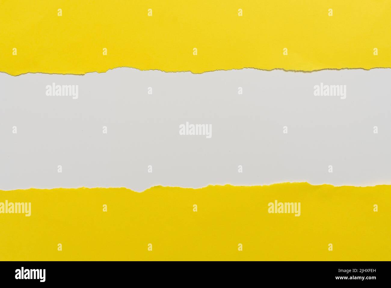 Important Informations Written Under Ripped Paper. Crutial Announcement ...