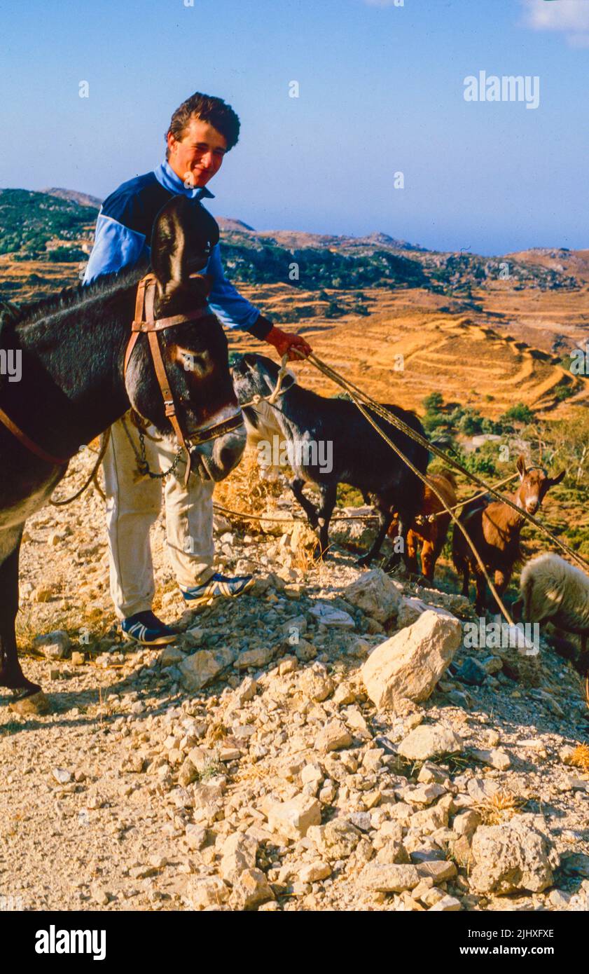 Boy with donkey, goats and sheep, Cretan Mountains, Crete, Greece Stock ...