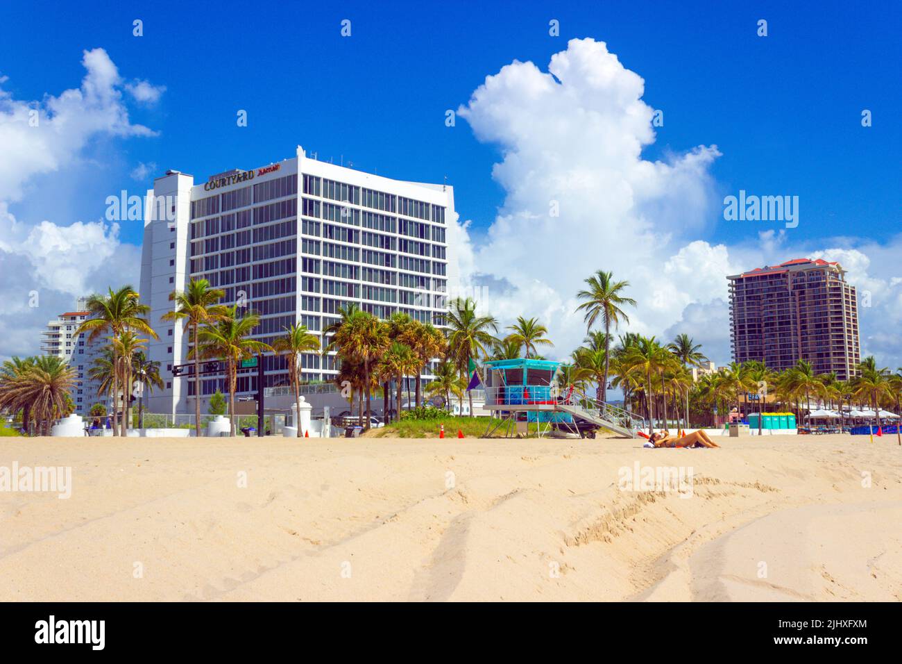 Courtyard by Marriott and Palm Trees on the Edge of Fort Lauderdale ...