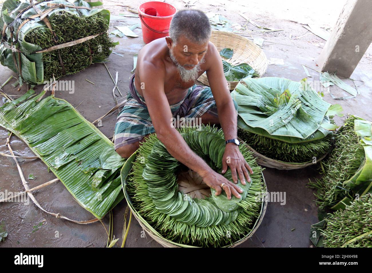 Shows a Paan (Betel leaf) market, Farmers process Paan (Betel leaf ...