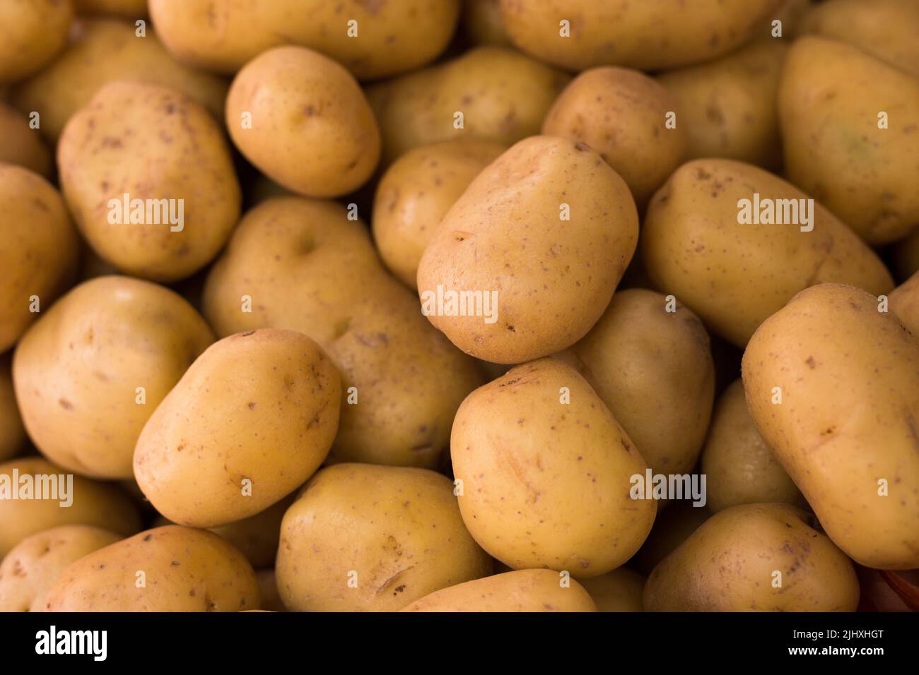 Tubers of potatoes hi-res stock photography and images - Alamy