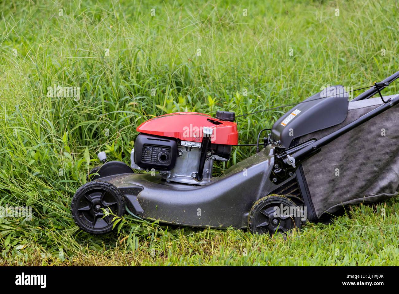 In this lawn mower working on a green lawn with grass being cutting ...