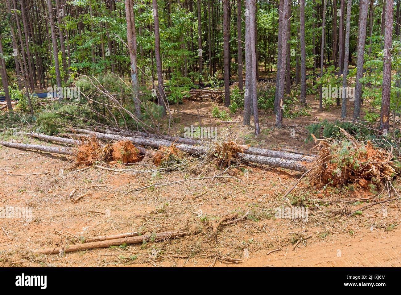 This is a scene of the landscape of the construction site with dirt and ...