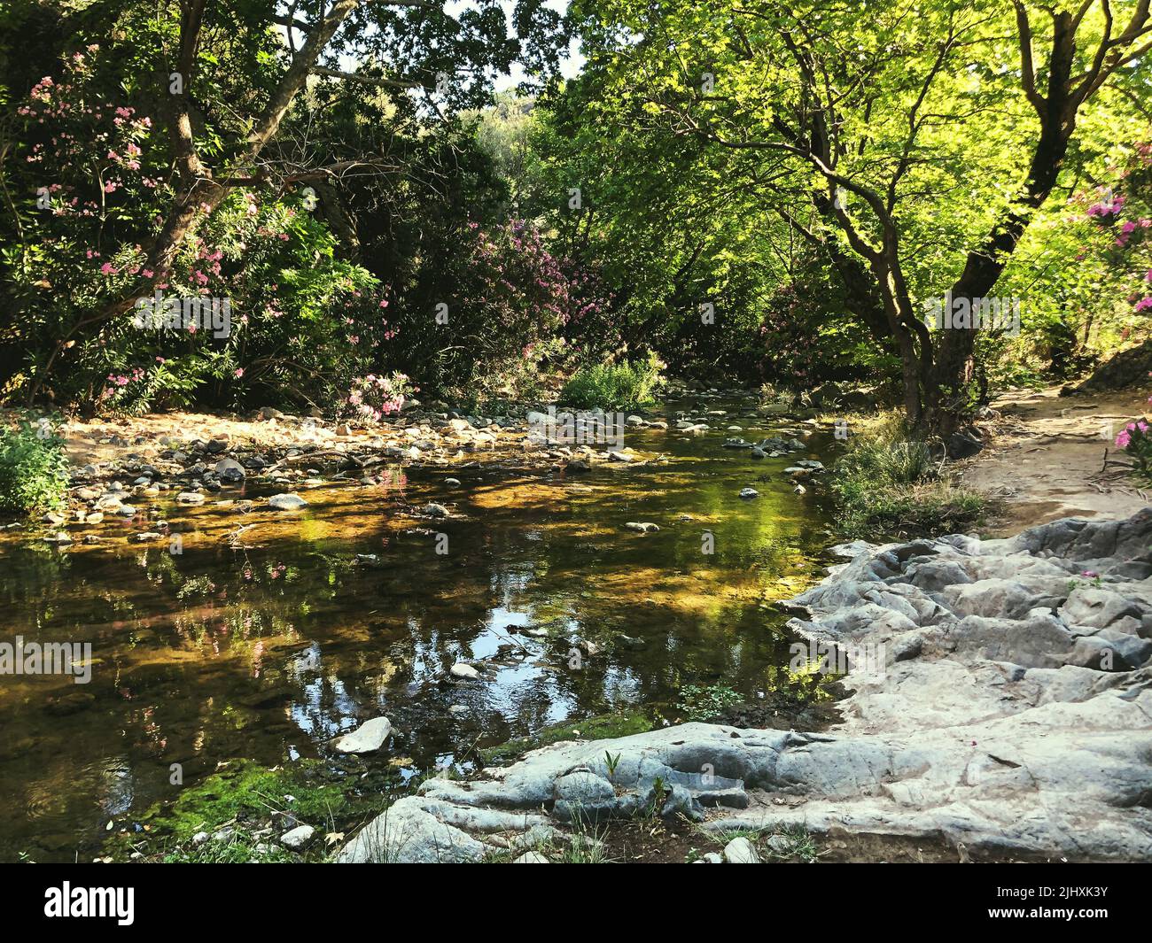 Daytime environment hi-res stock photography and images - Alamy