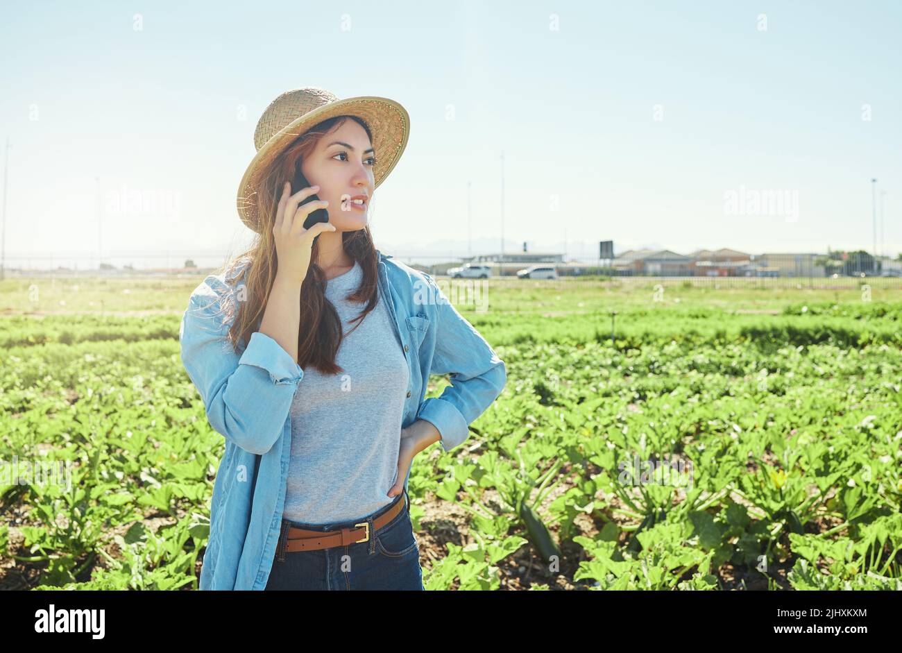 Im ready to start shipping. a young female farmer using her phone to ...