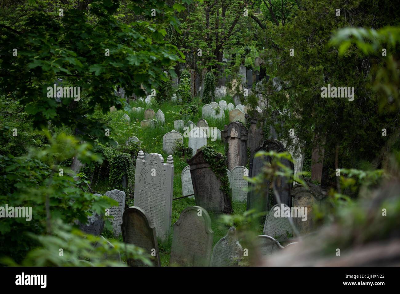 An aerial view of historical jewish cemetery in Mikulov Stock Photo - Alamy