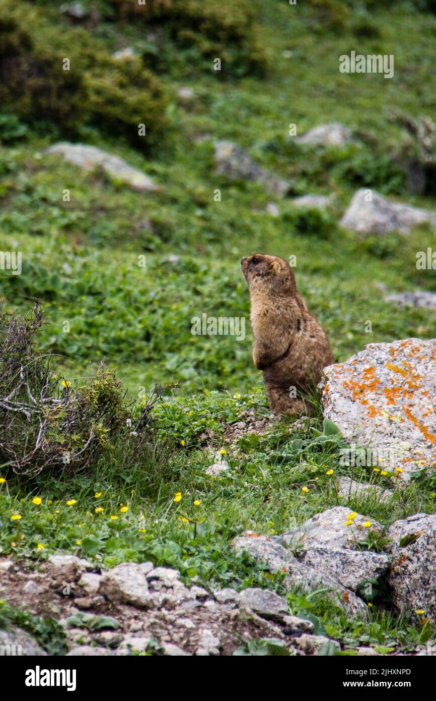 Trekking to Ala Kol Lake the Karakol National Park of Kyrgyzstan's ...
