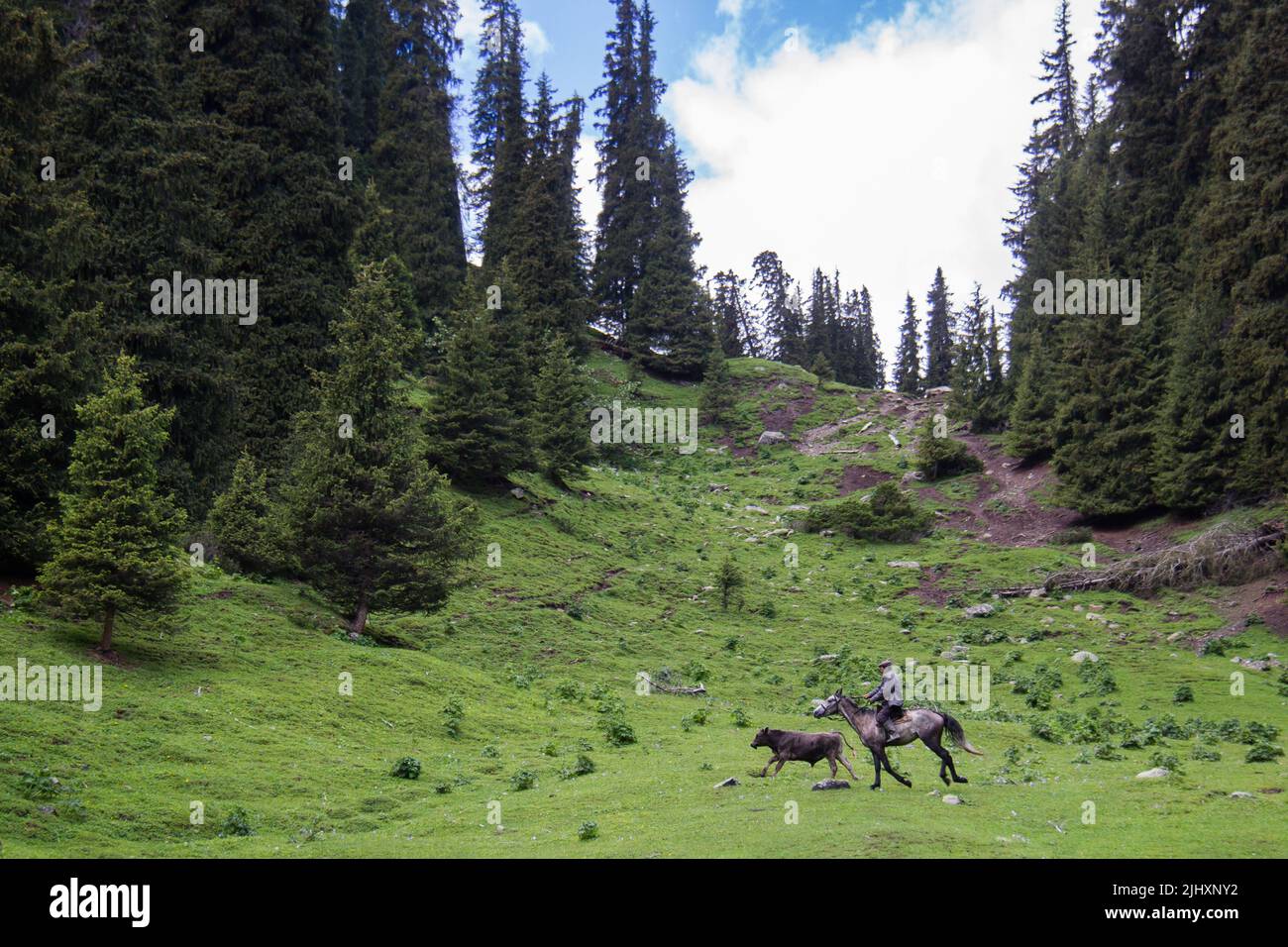 Trekking to Ala Kol Lake the Karakol National Park of Kyrgyzstan's ...