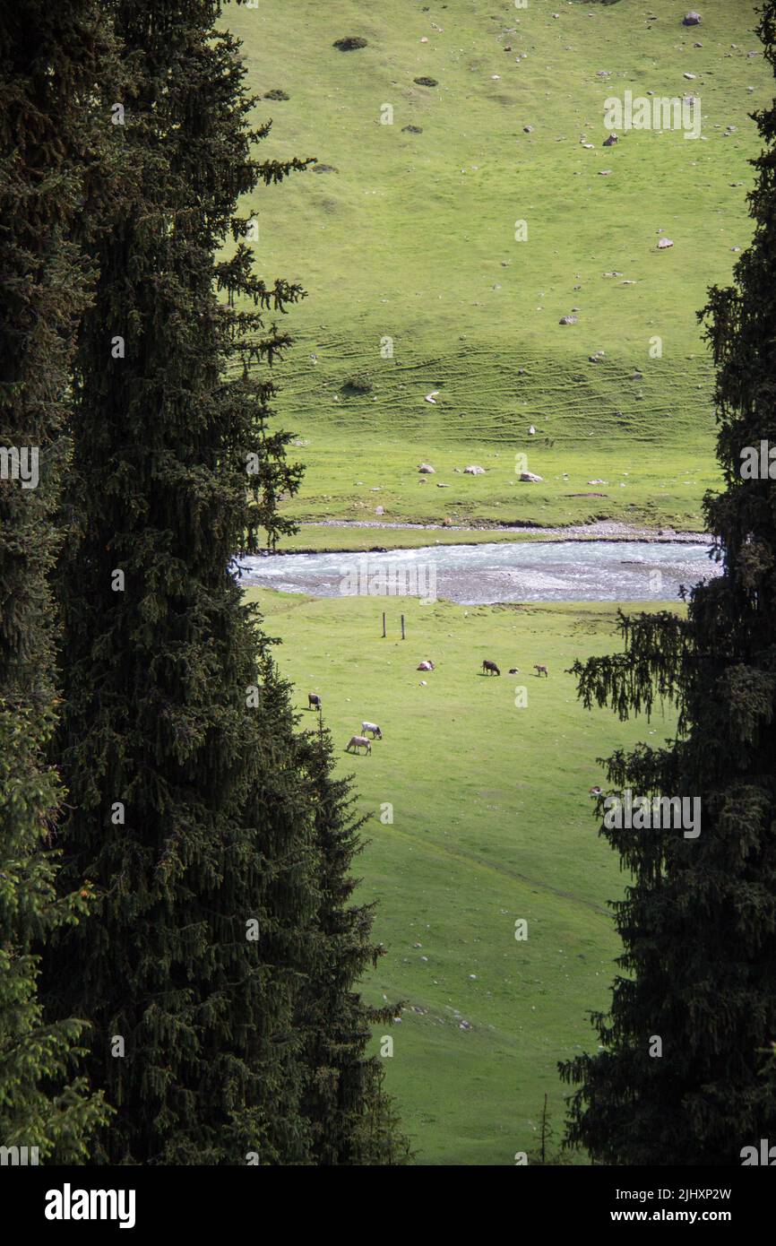 Trekking to Ala Kol Lake the Karakol National Park of Kyrgyzstan's ...