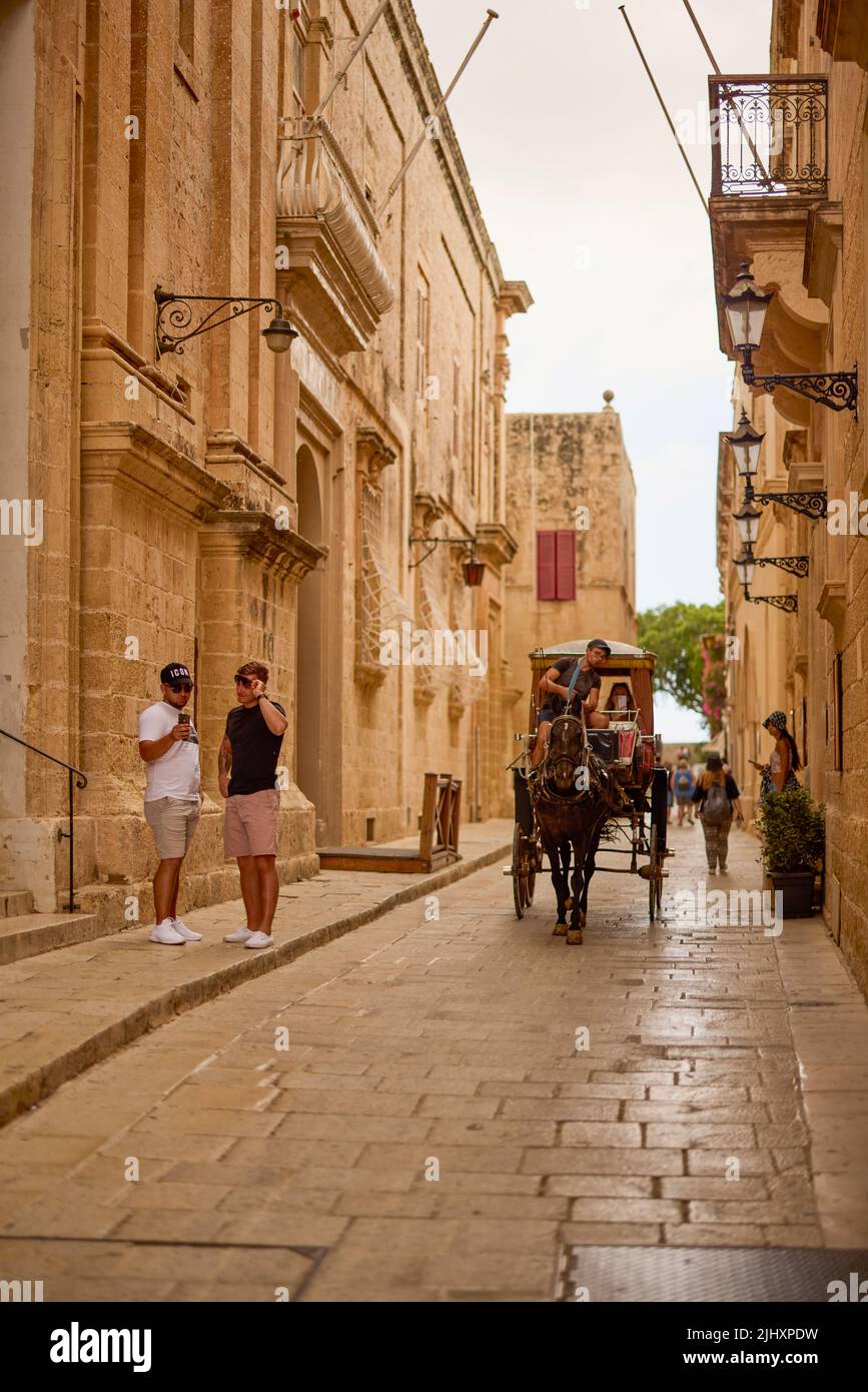 Maltese images hi-res stock photography and images - Alamy