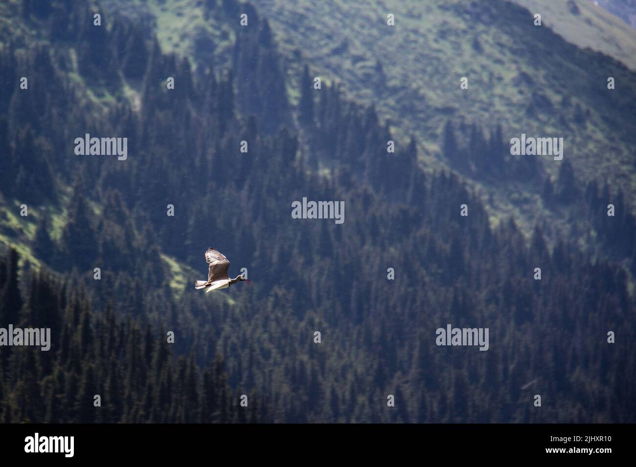 Trekking to Ala Kol Lake the Karakol National Park of Kyrgyzstan's ...