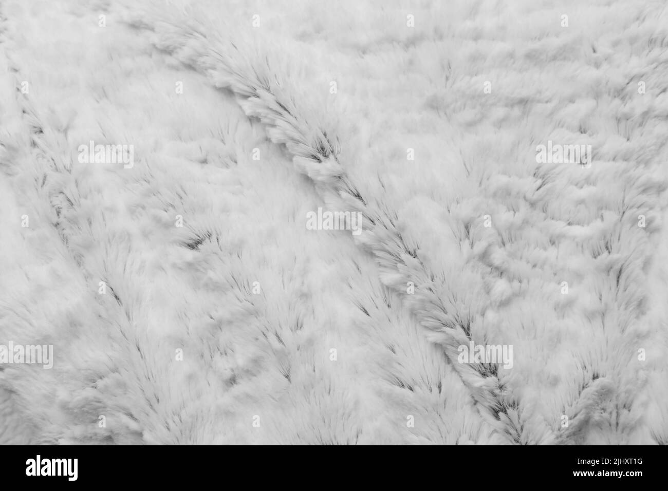 White wool texture fur background pattern warm abstract soft material ...