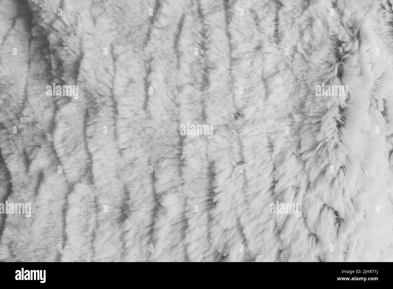 White wool texture fur background pattern warm abstract soft material ...