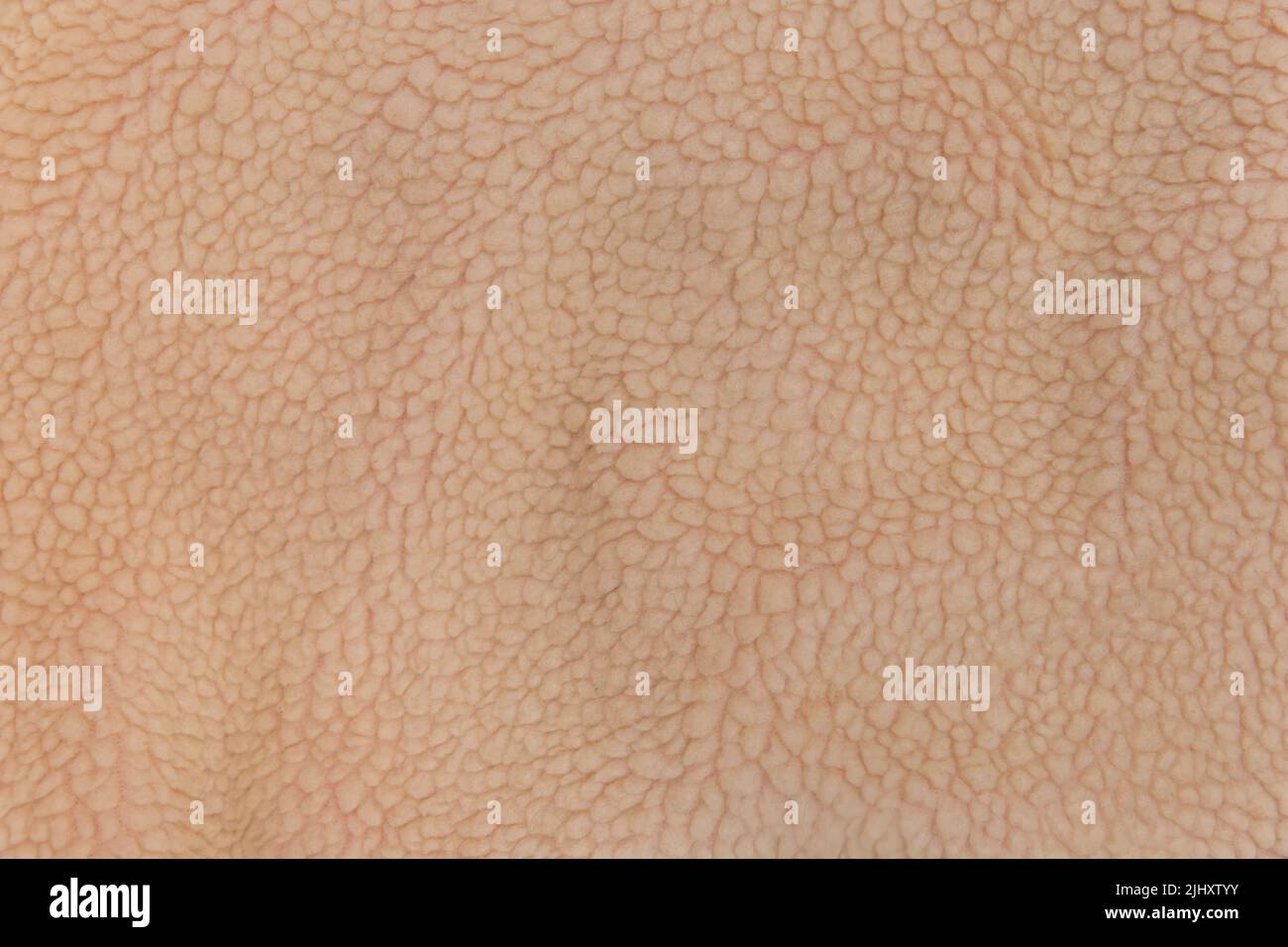 Yellow sheep material wool fur soft structure fleece fabric background ...