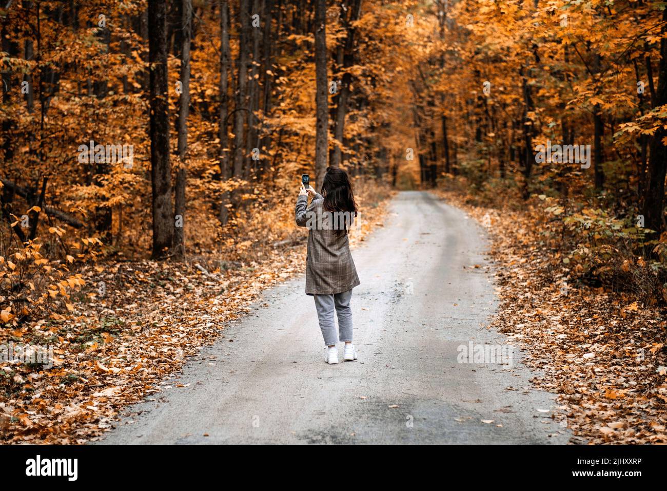 Woman taking pictures in autumn forest. Mobile photography, film ...