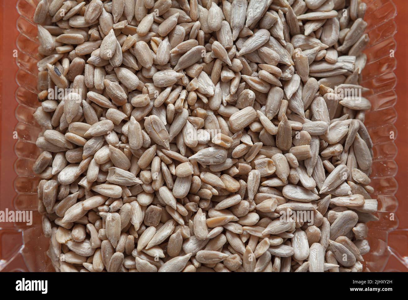 Sunflower seeds. Helianthus Annuus . Harvested background Stock Photo ...