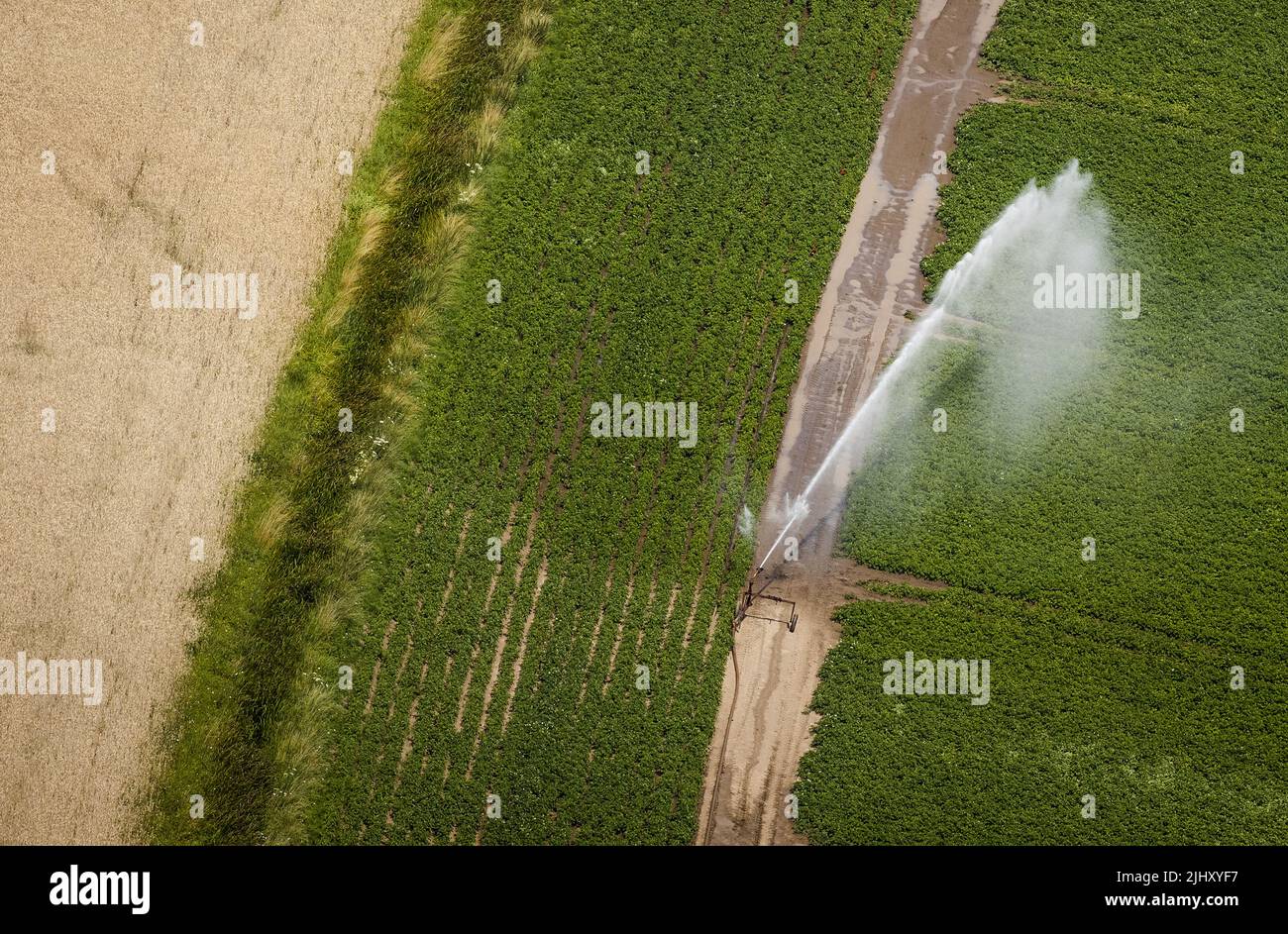Bewatering hi-res stock photography and images - Alamy