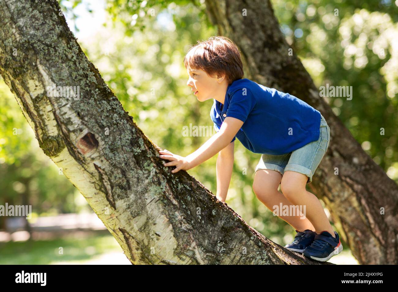 Small boy climbing tree hi-res stock photography and images - Alamy