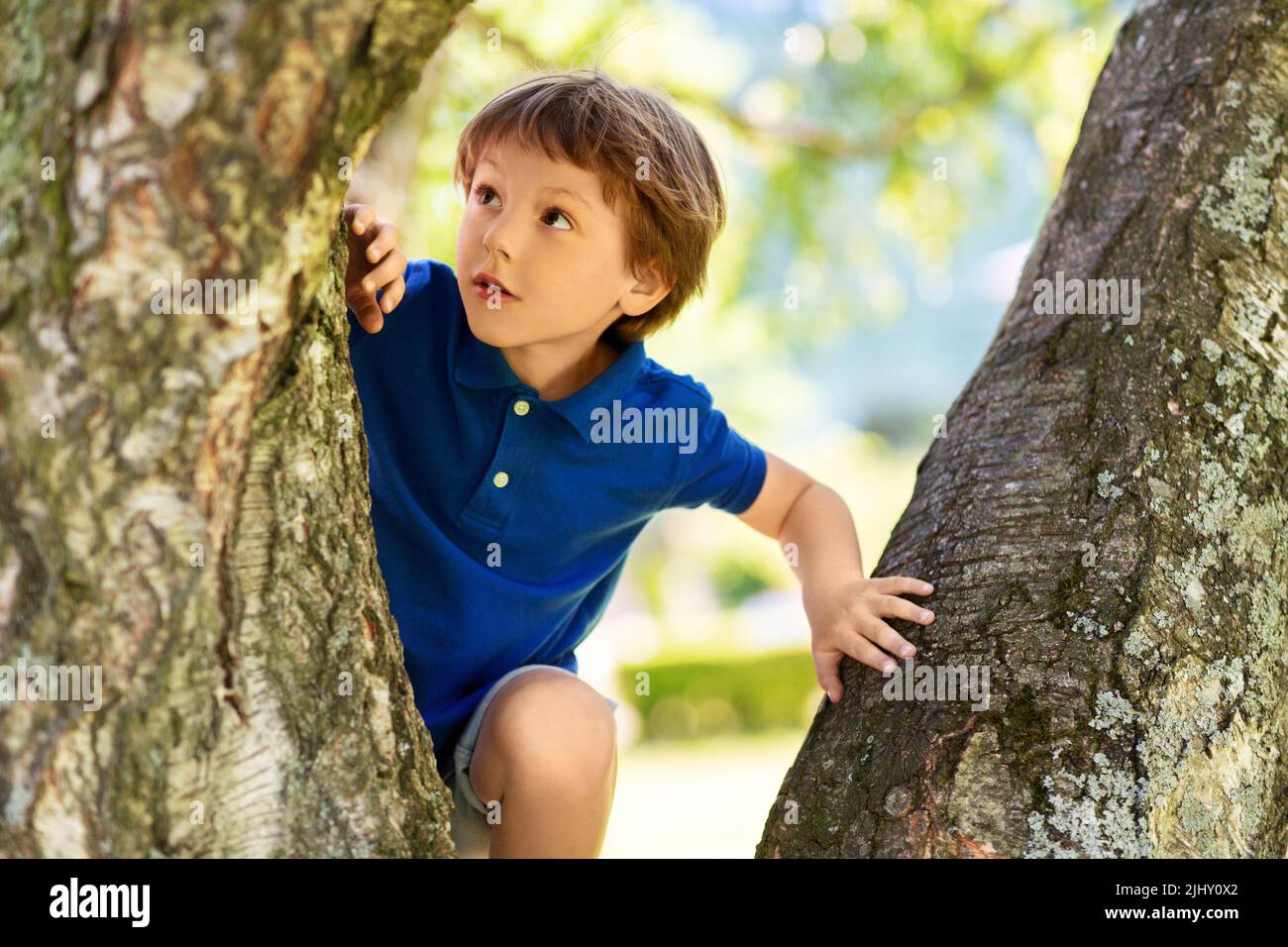 happy little boy climbing tree at park Stock Photo - Alamy