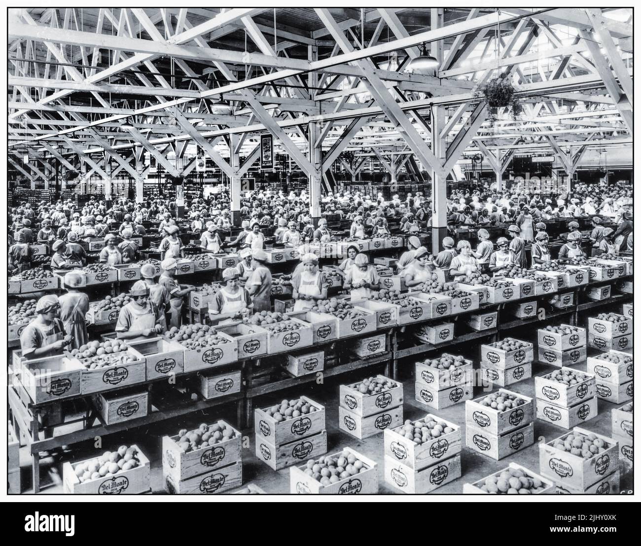 Production Company Alameda Ca at Darnell Johnson blog