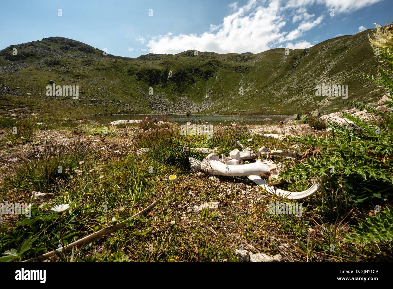 Mountain lake - water system Stock Photo - Alamy
