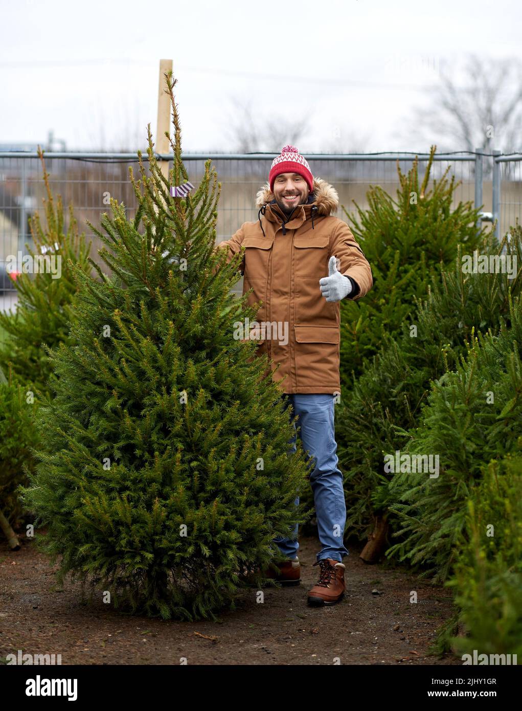 Tree like man hi-res stock photography and images - Alamy