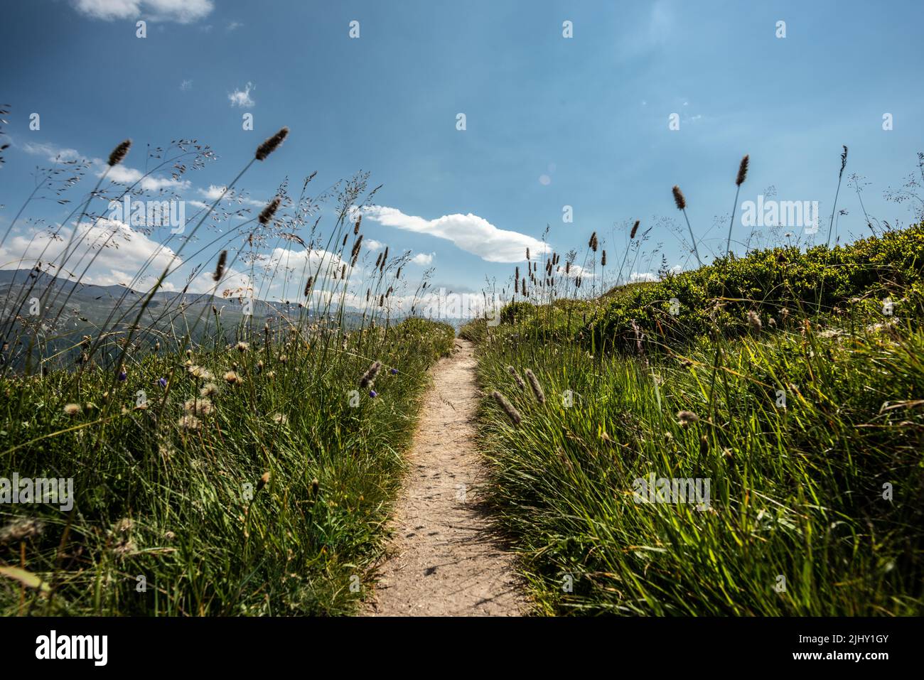 Mountain path - Trail Stock Photo - Alamy