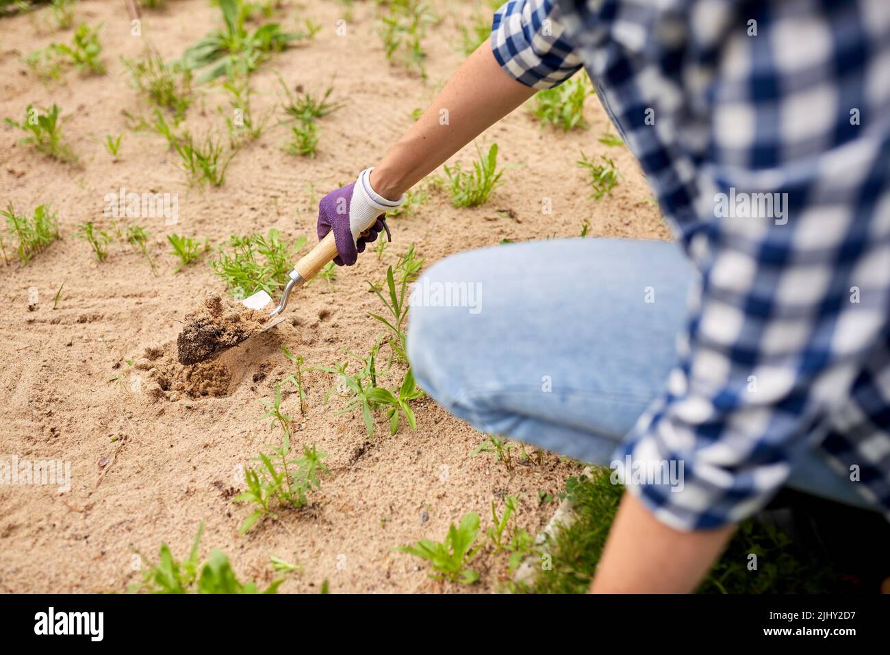 Hand ground hi-res stock photography and images - Alamy
