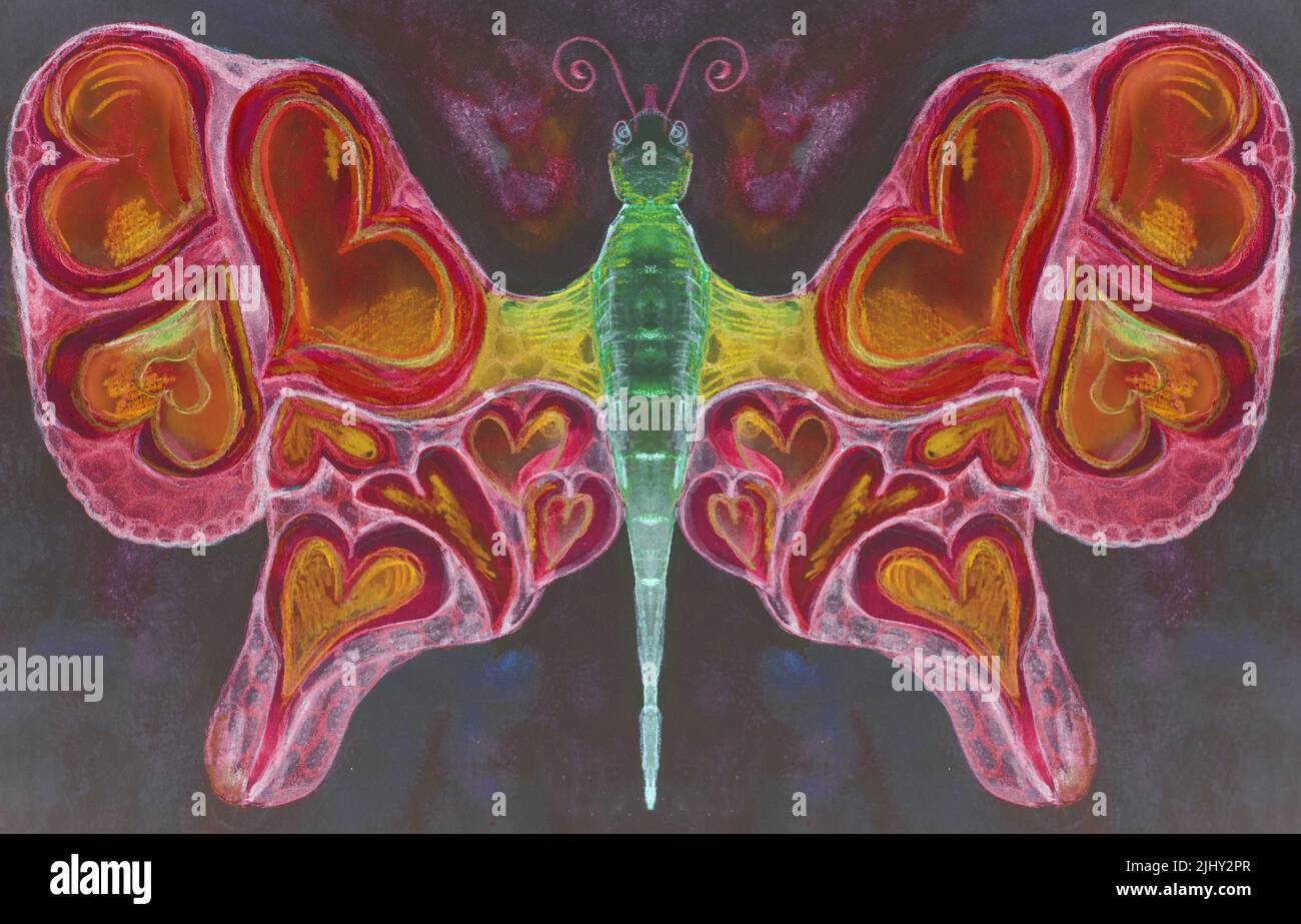 Psychedelic butterfly in the night. The dabbing technique near the ...