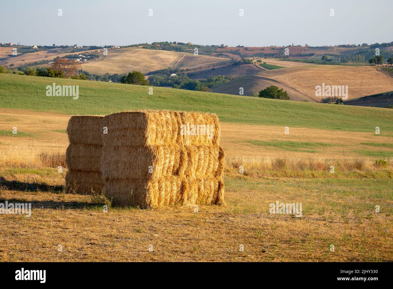 A view of haystacks in a field near Montegridolfo, an antique village ...