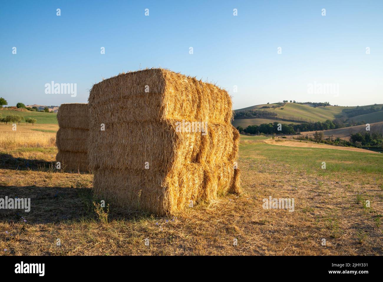 A view of haystacks in a field near Montegridolfo, an antique village ...