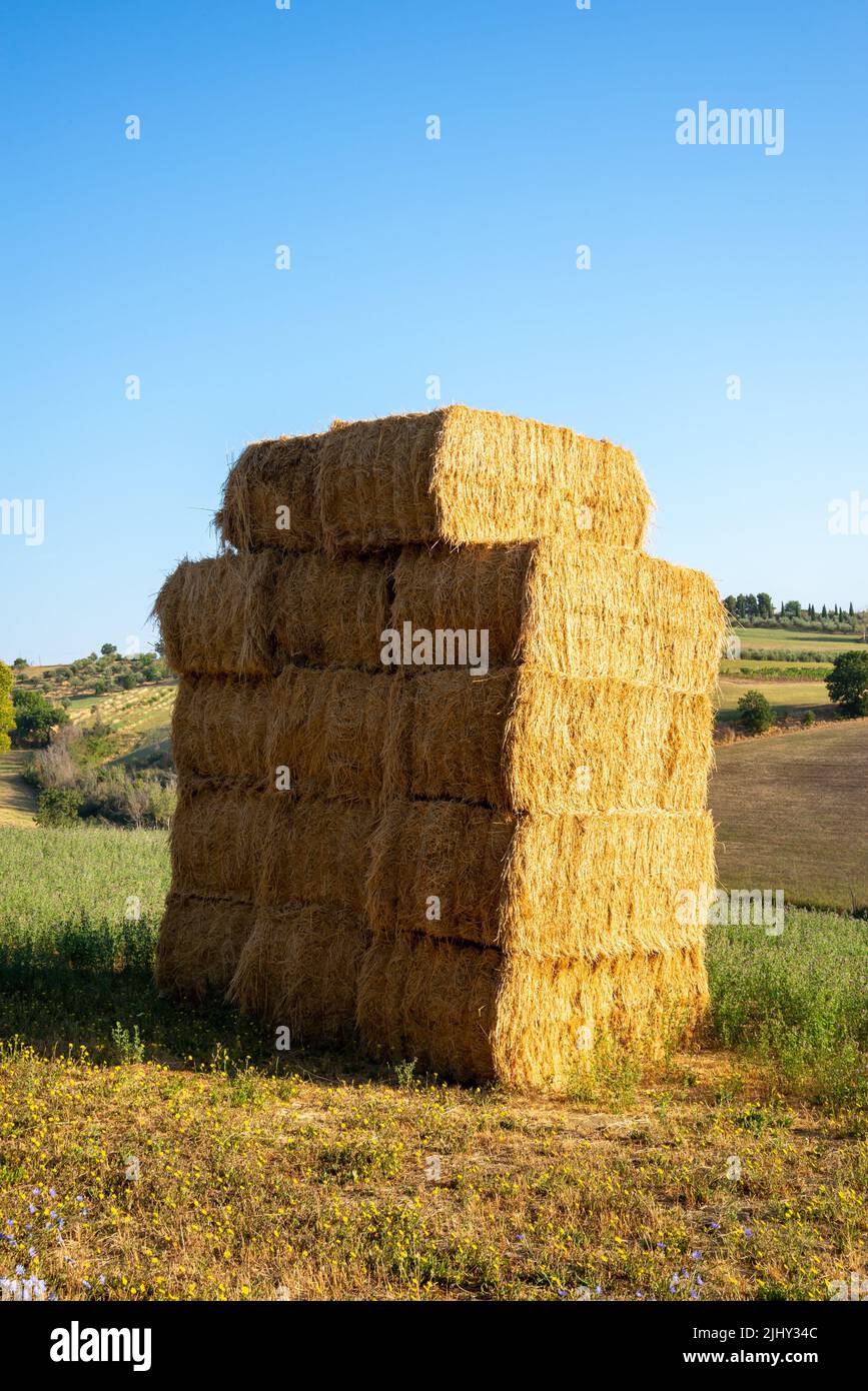 A view of haystacks in a field near Montegridolfo, an antique village ...