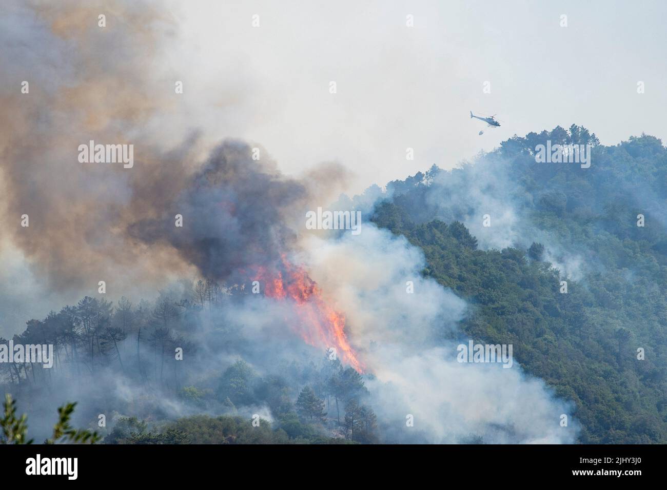 An immense fire hit the hills of Massarosa, in Tuscany, about 700 ...