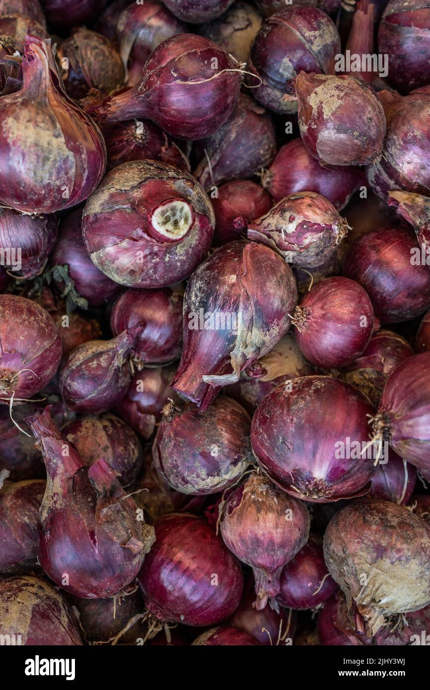 red onion full frame top view on fresh organic harvested onions stack ...