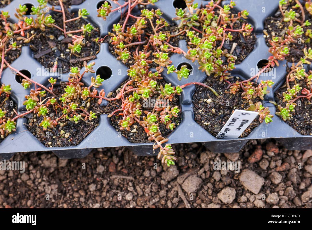 Extensive heatwave hi-res stock photography and images - Alamy