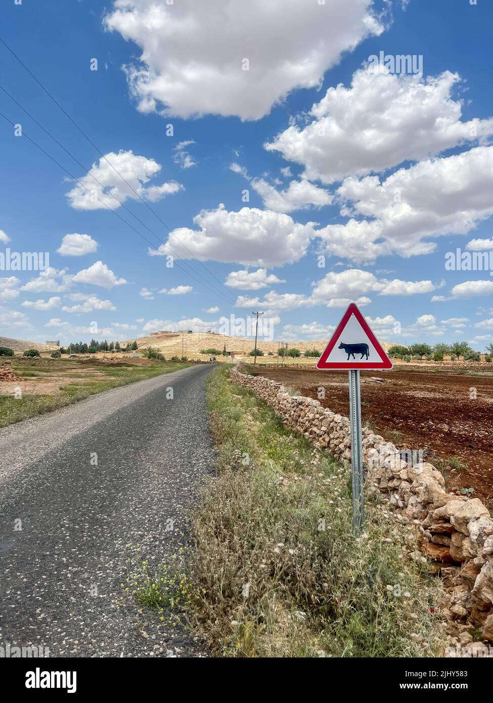 road, farm animal crossing traffic sign by an empty asphalt road leads ...