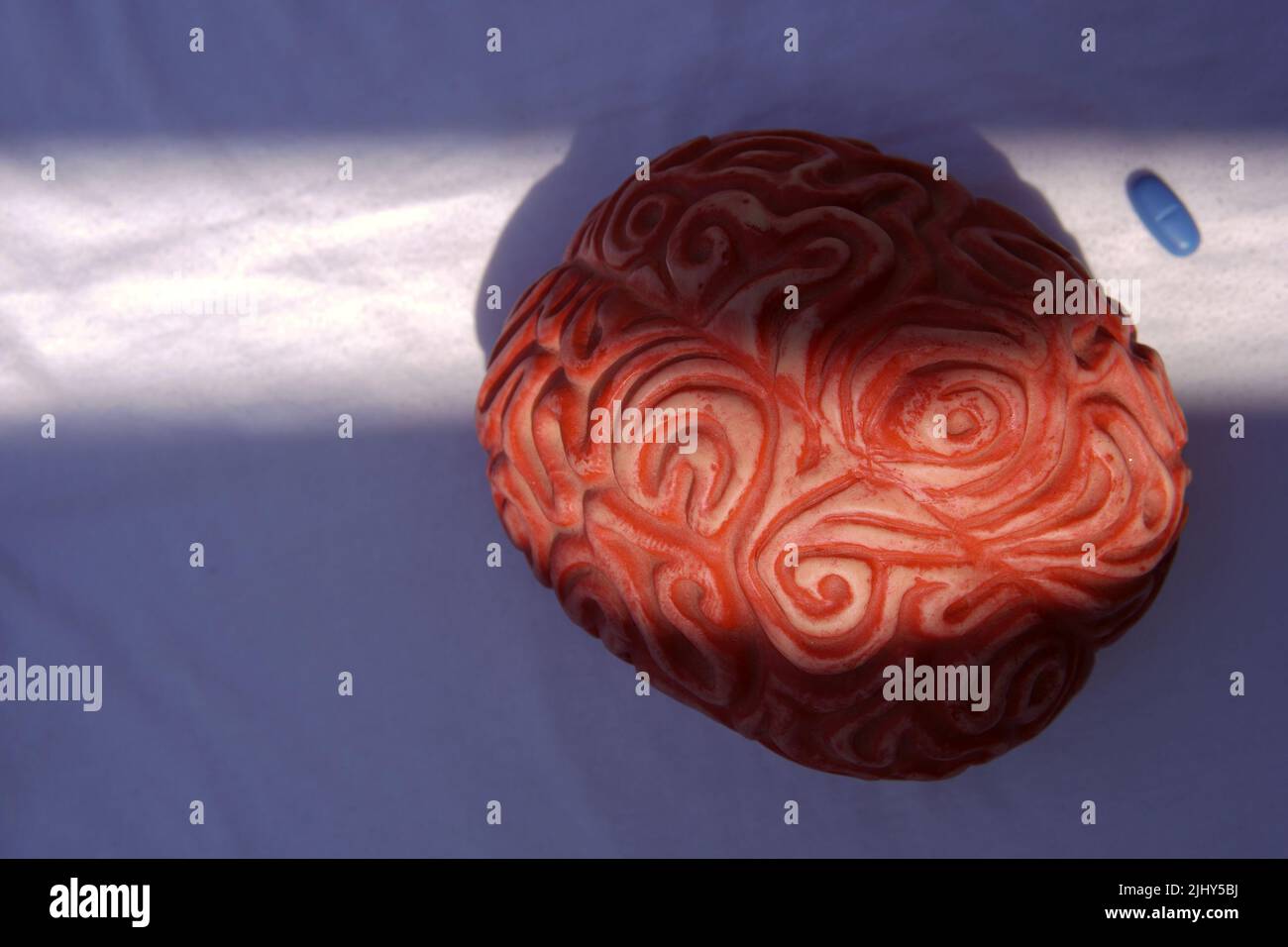 Rubber brain hi-res stock photography and images - Alamy