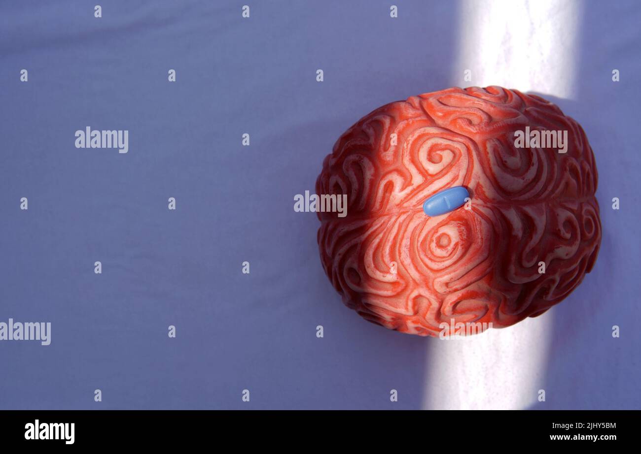 Rubber brain hi-res stock photography and images - Alamy