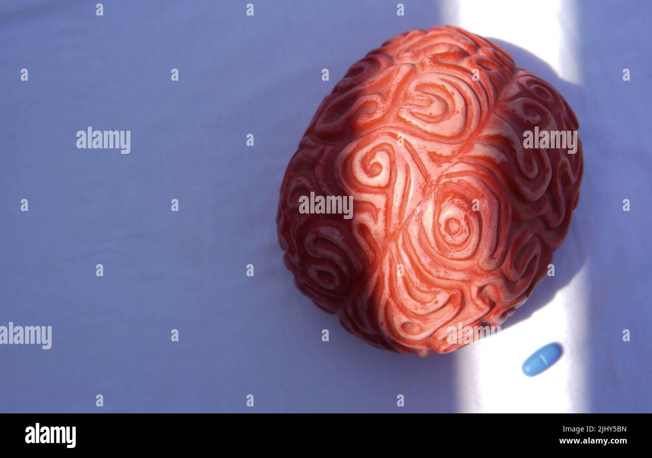 Rubber brain hi-res stock photography and images - Alamy