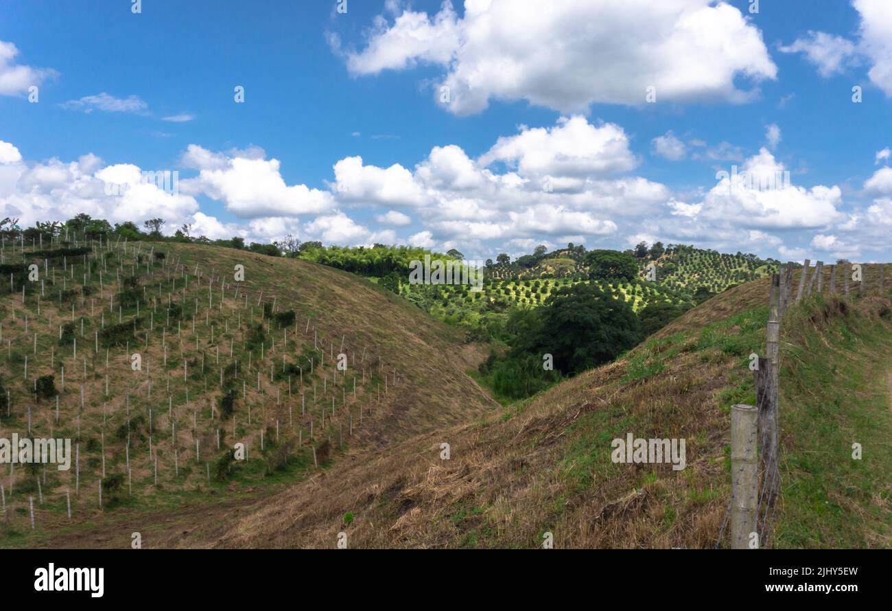 Beatiful colombian landscape and nature photos Stock Photo - Alamy