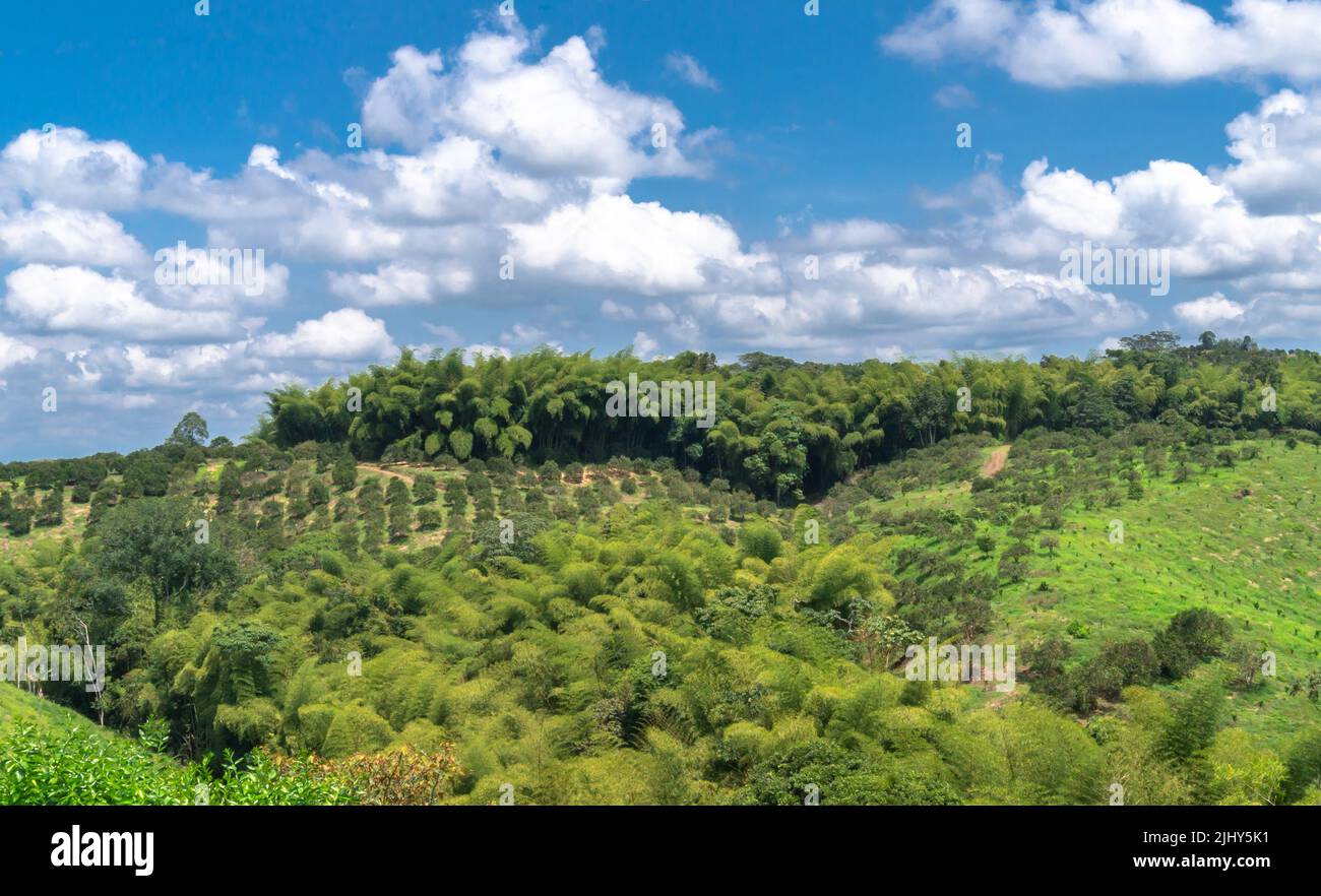 Beatiful colombian landscape and nature photos Stock Photo - Alamy